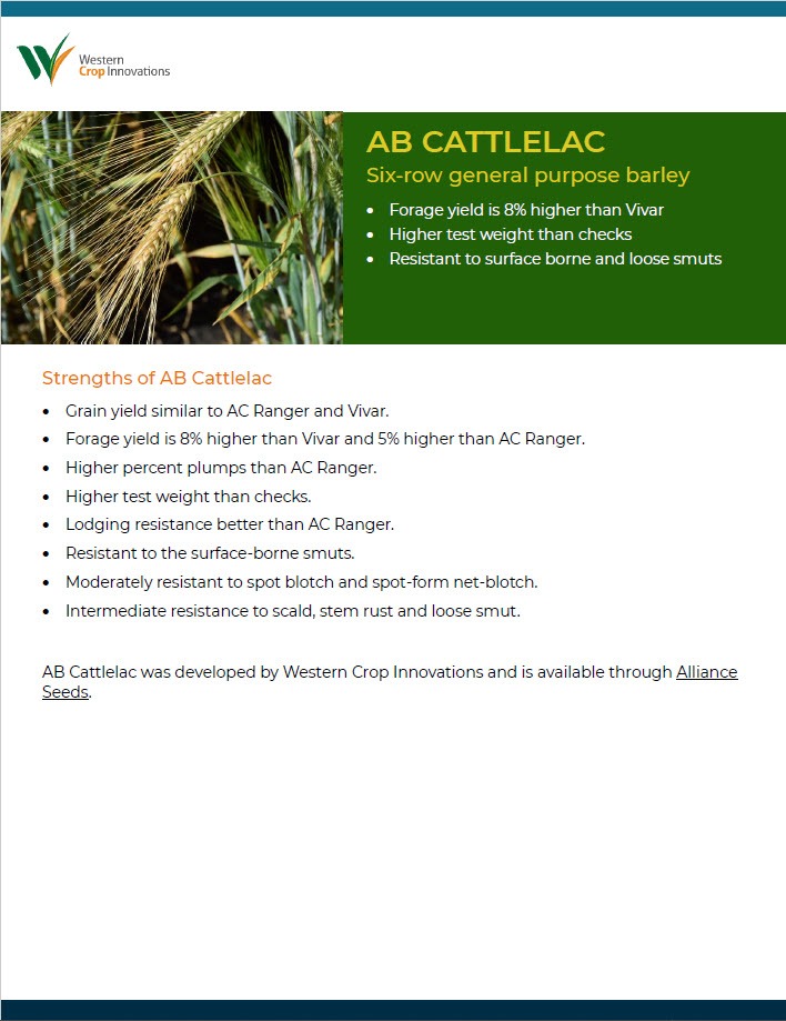 High-Yield and Disease-Resistant Crop Varieties